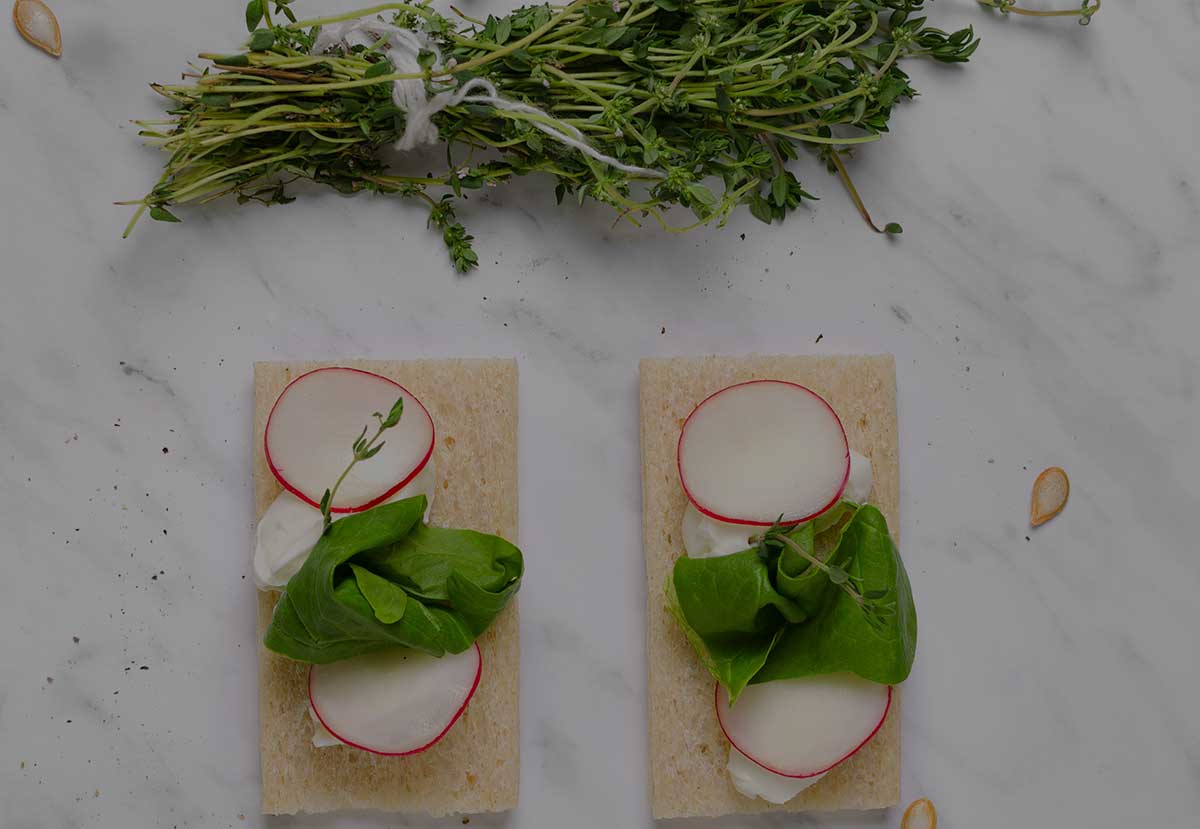 Maya Angelou - The Barn - Beirut